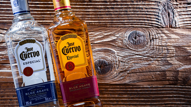 10 Facts Every Tequila Lover Should Know About Jose Cuervo