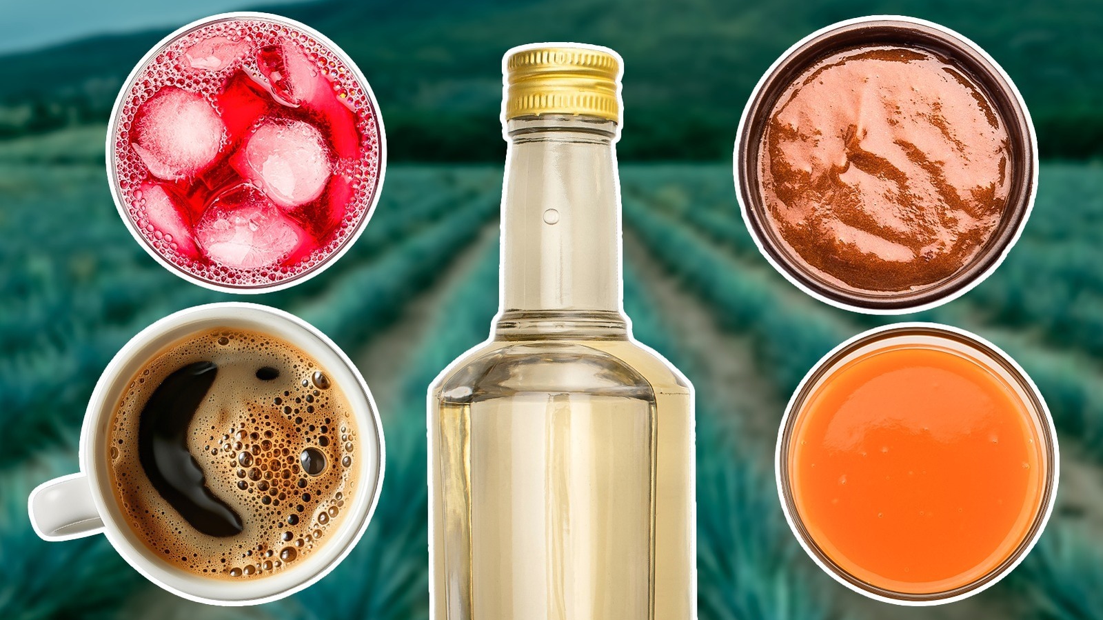 10 Unique Mixers To Add To Tequila