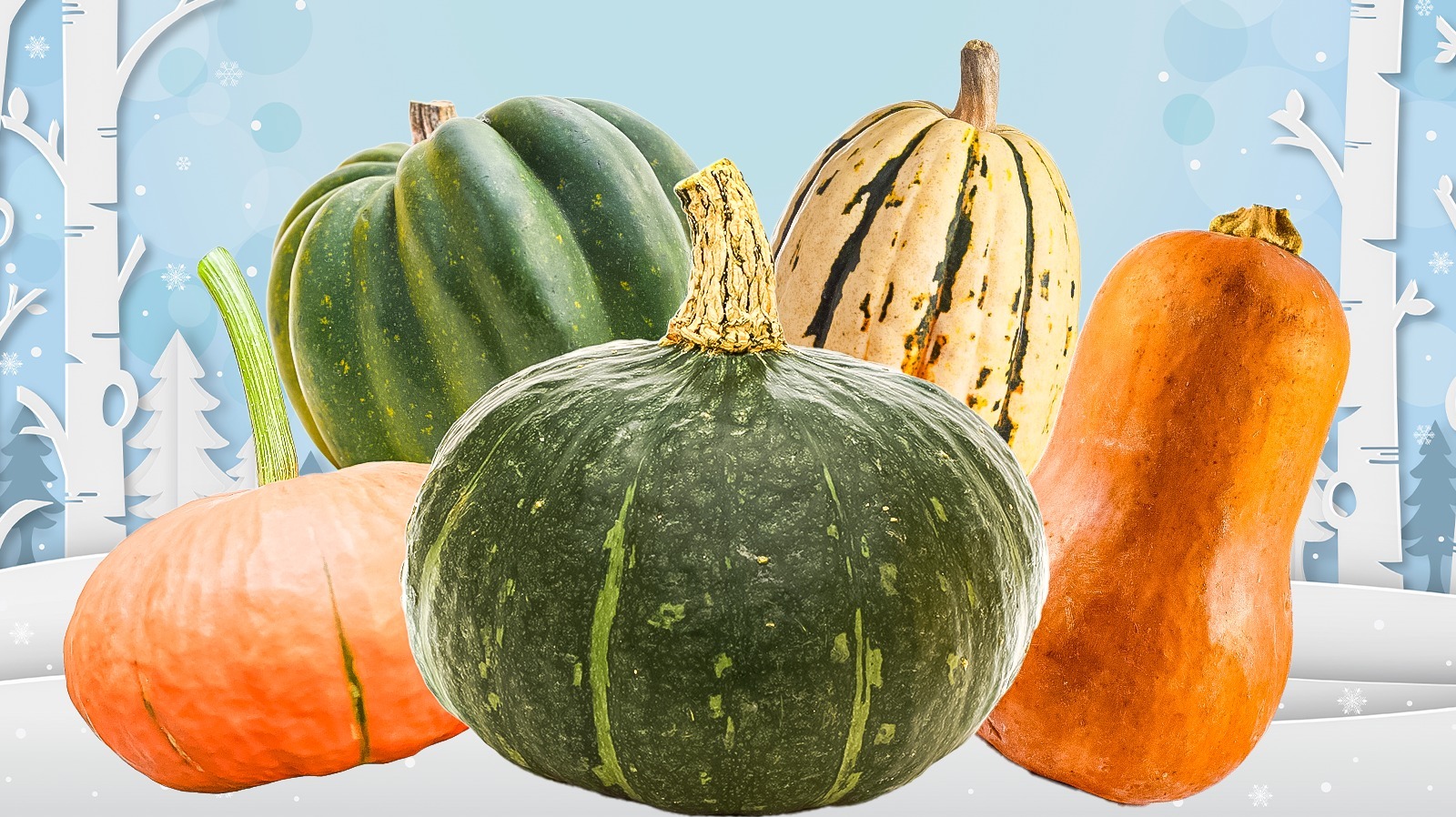 11 Winter Squash To Get Acquainted With At The Grocery Store