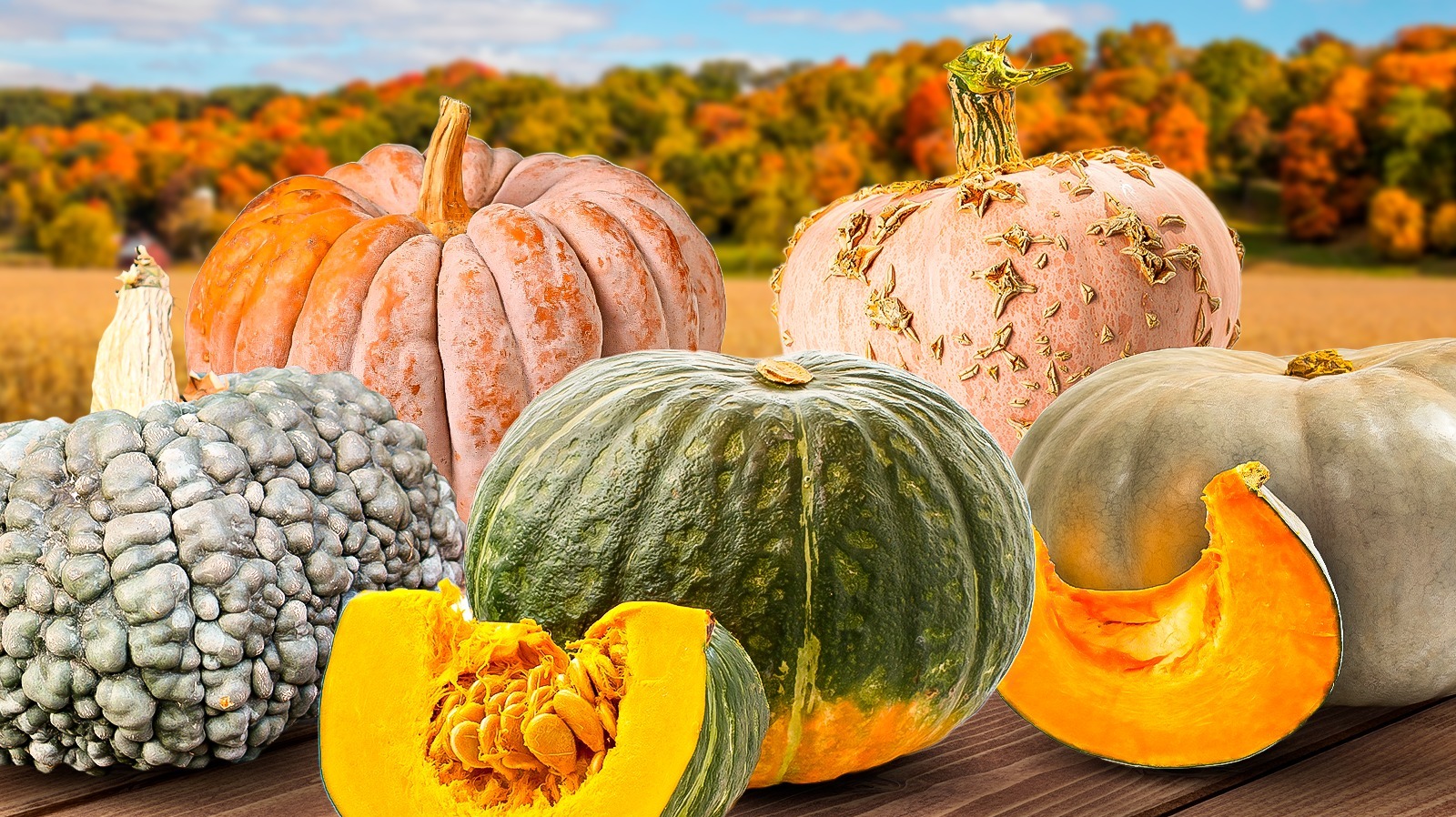 12 Varieties Of Pumpkins You Should Try Cooking With