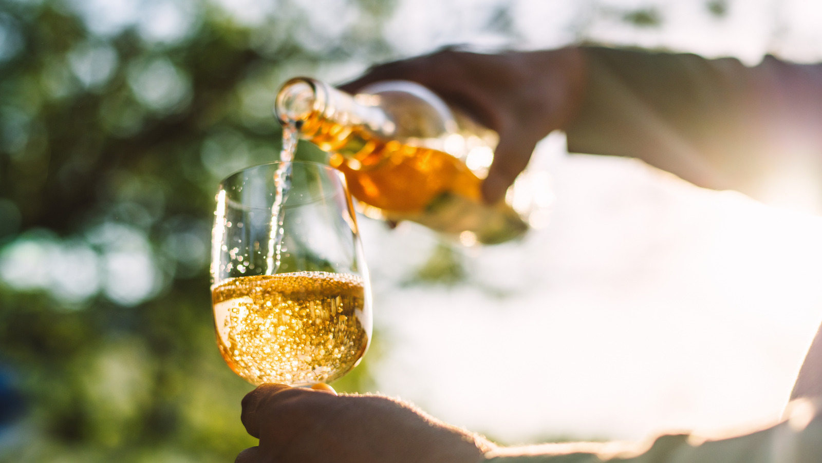 13 Best Low Alcohol Wines That Should Be On Your Radar
