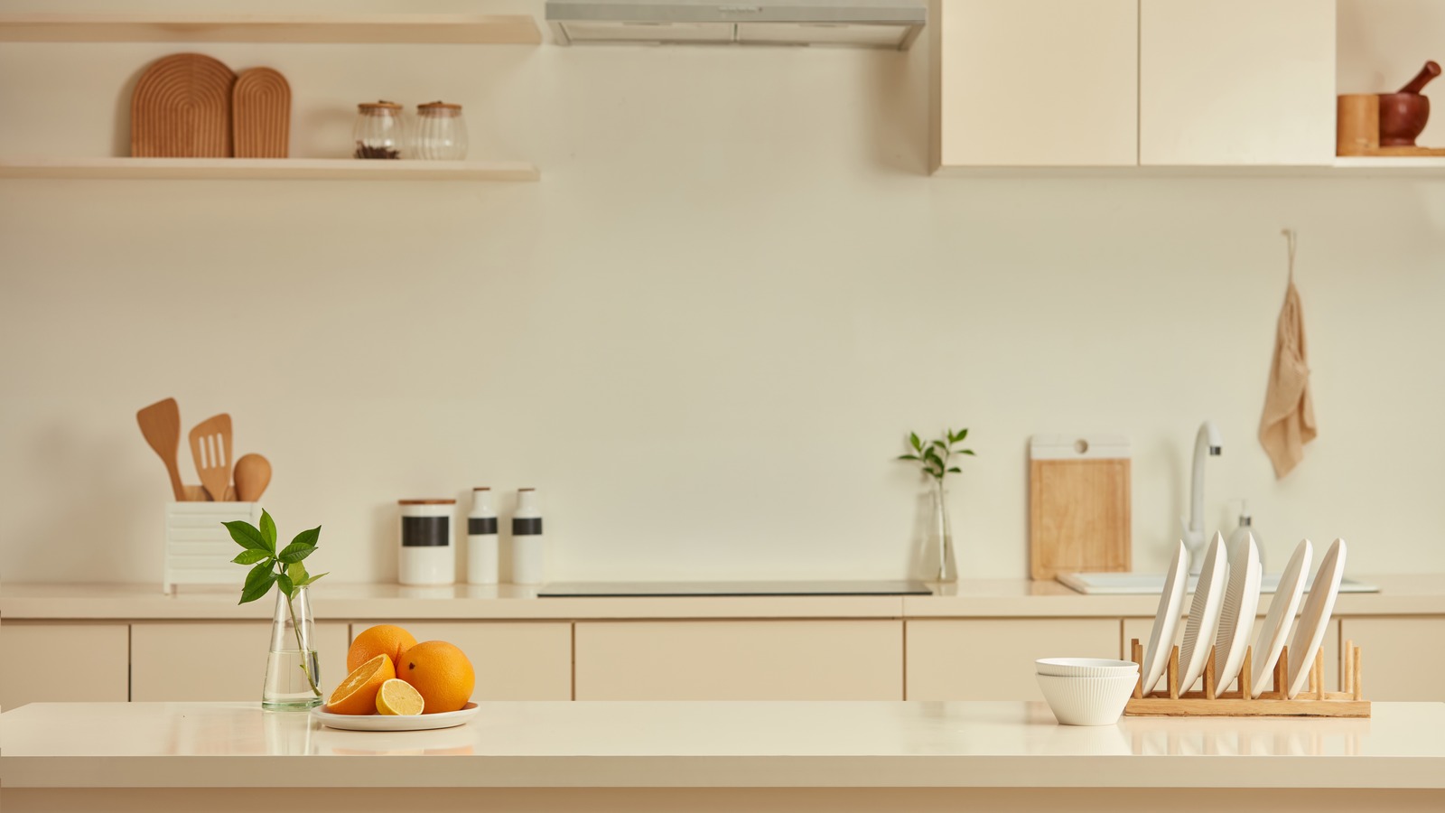 15 Items Everyone Should Avoid Leaving On Their Kitchen Counters