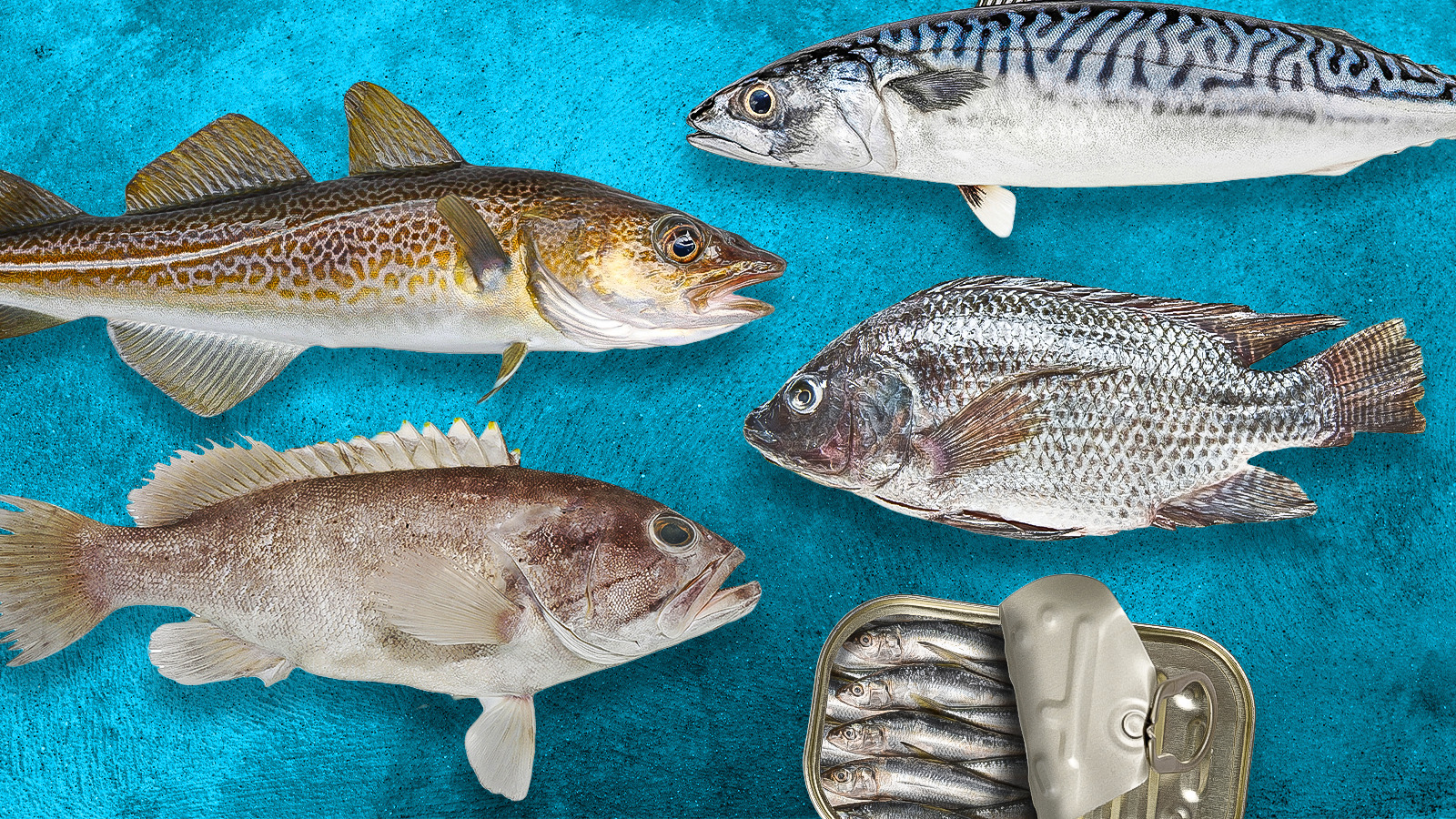 6 Cheap Fish To Buy And 6 To Avoid