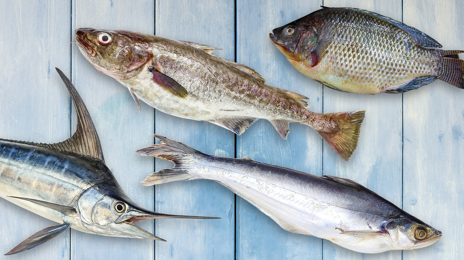 8 Types Of White Fish Worth Buying, And 2 You Should Avoid