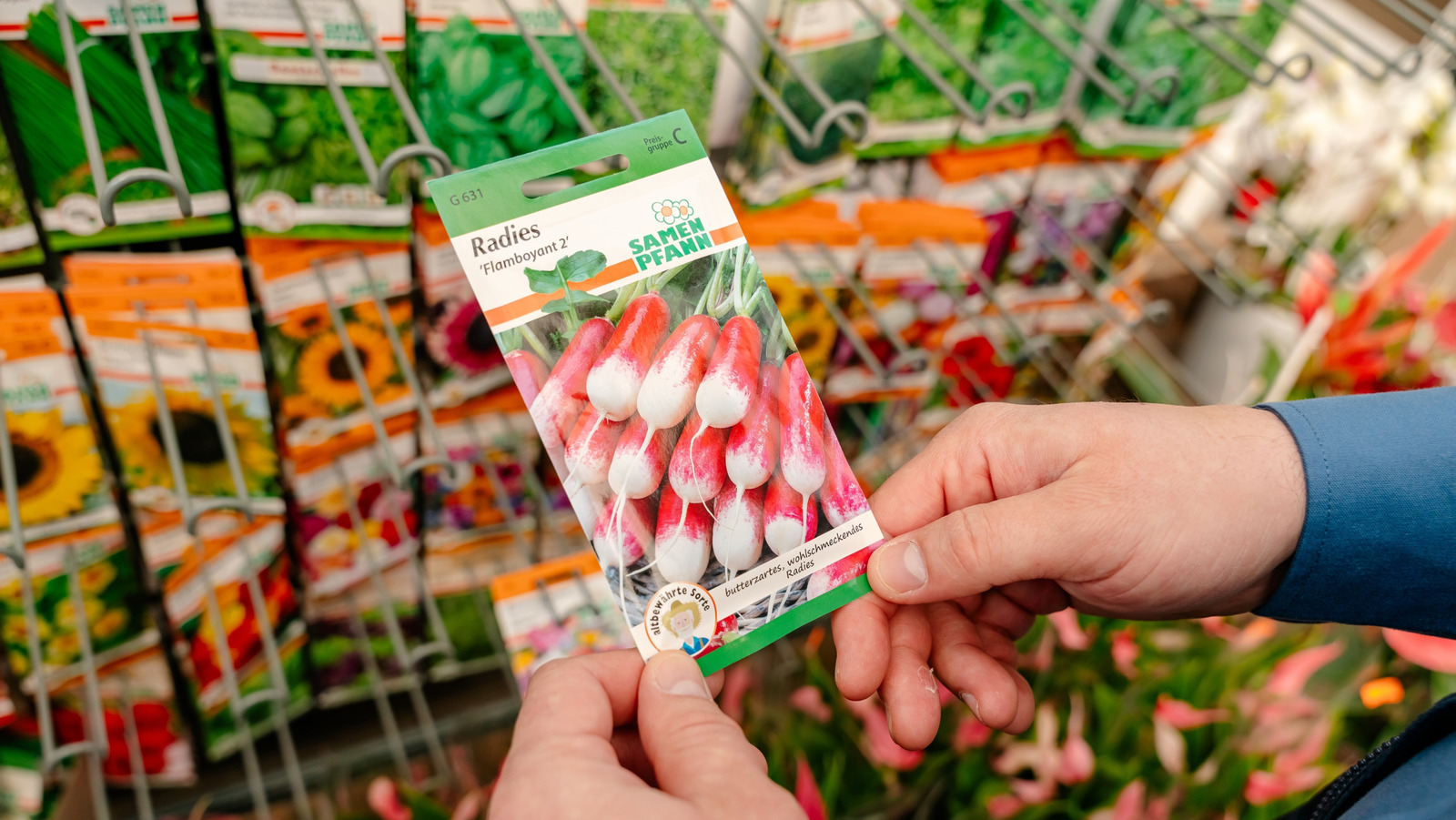 Are More Expensive Seed Packets Worth It For A Veggie Garden? What To ...