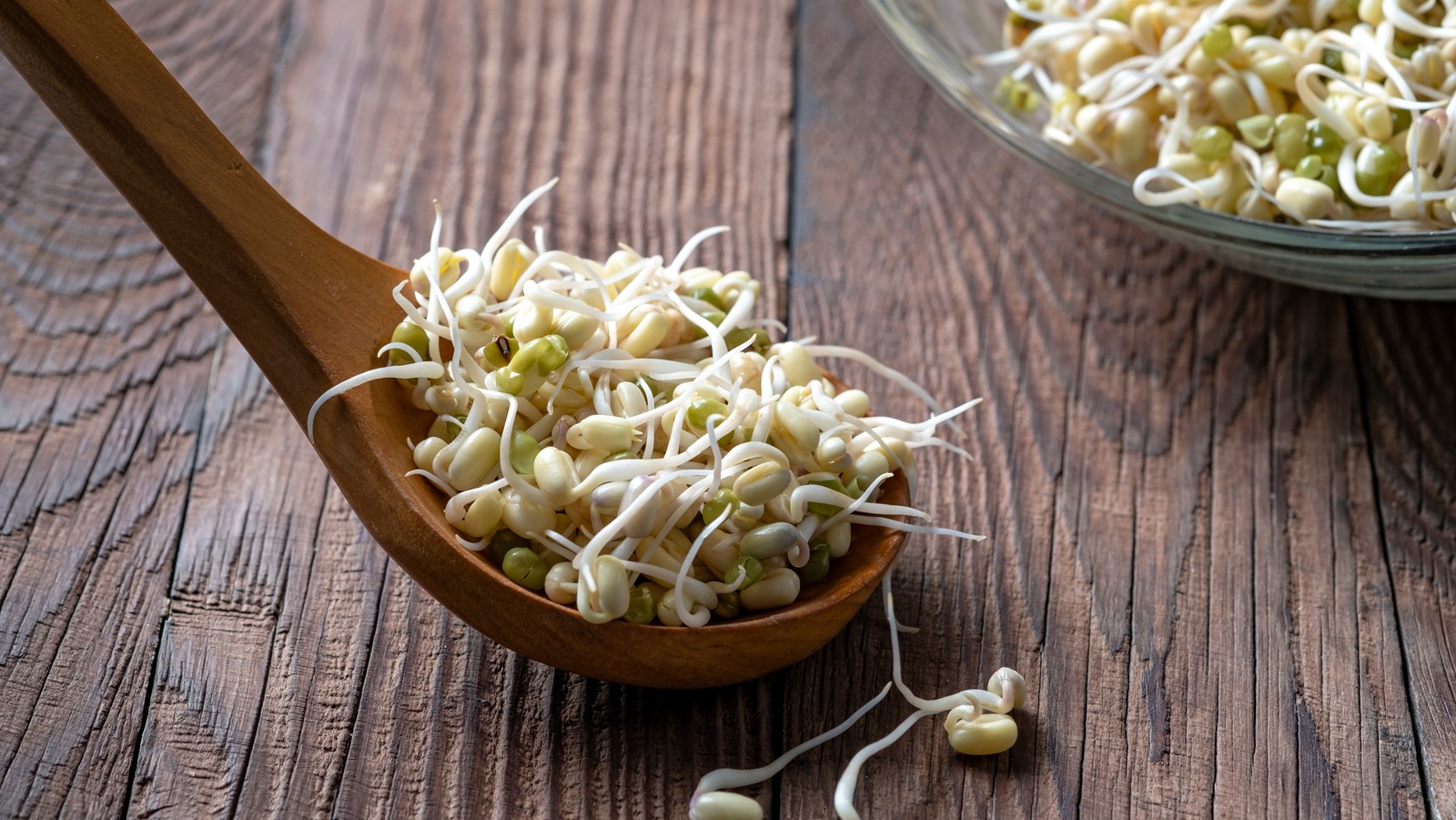 Are Sprouted Seeds And Beans Safe To Eat?