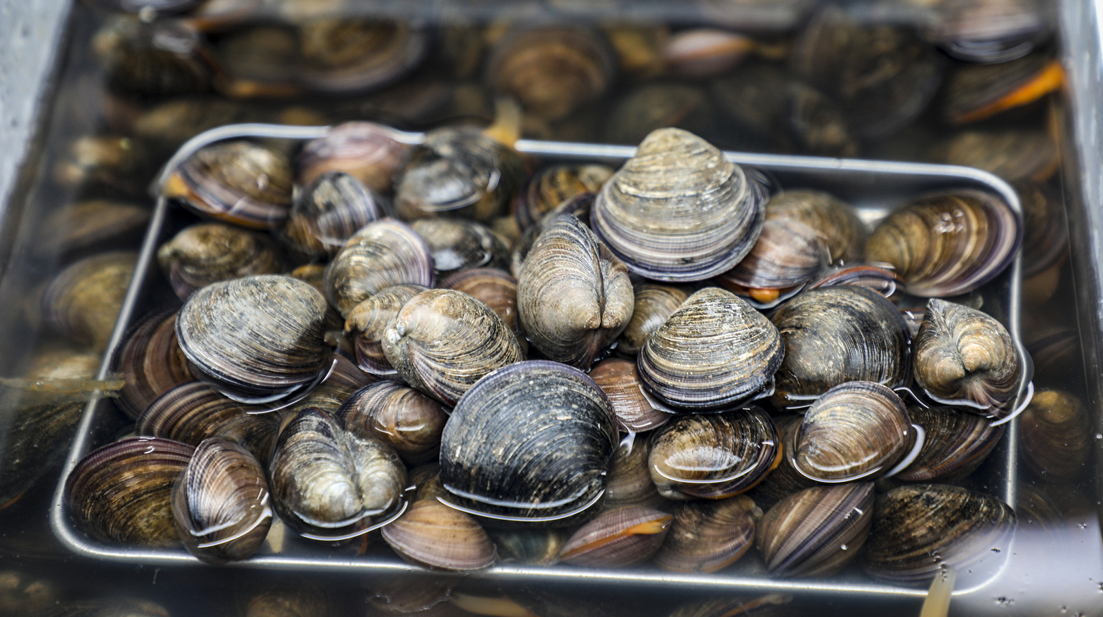 How To Tell If Raw Clams Are Safe To Eat