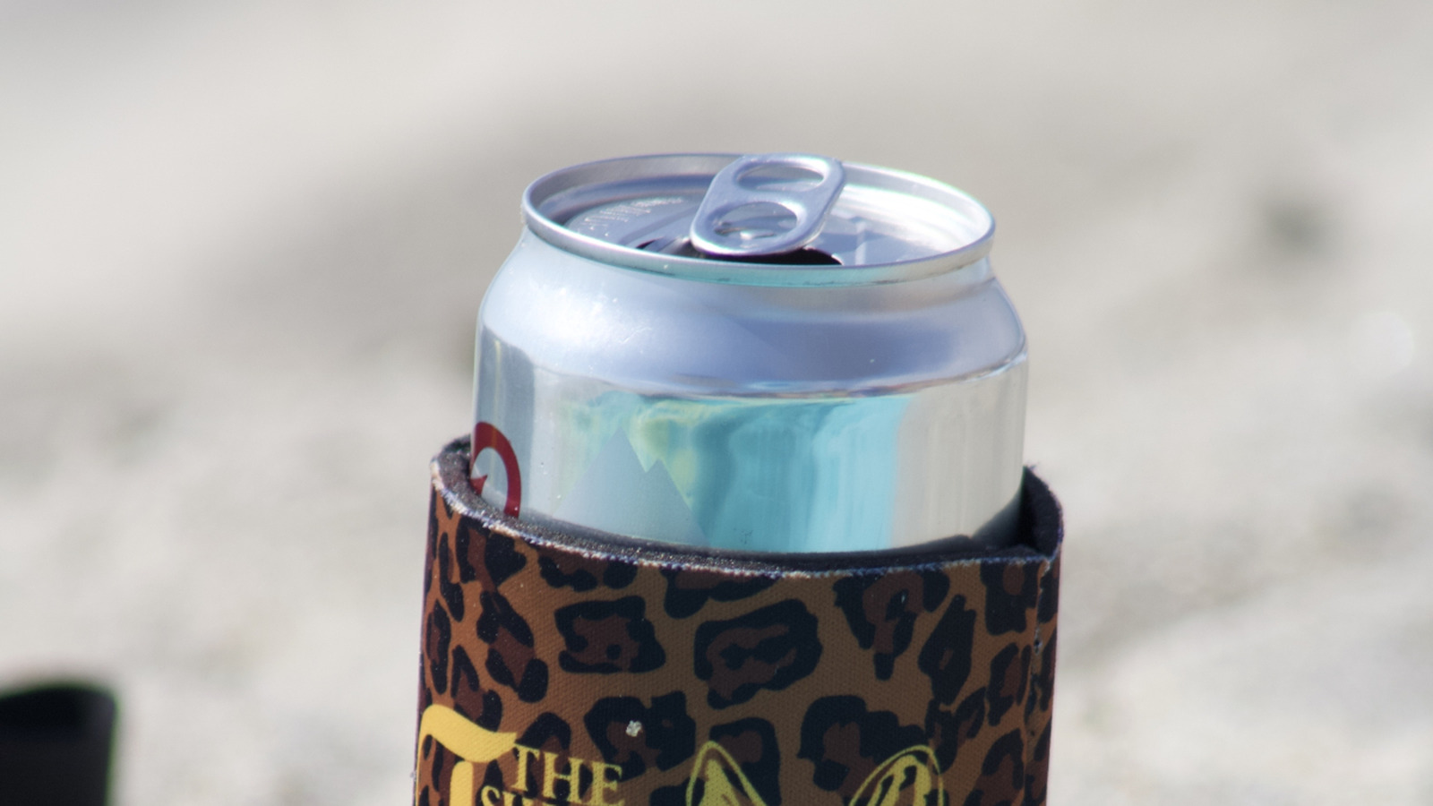 What's The Point Of Beer Koozies?