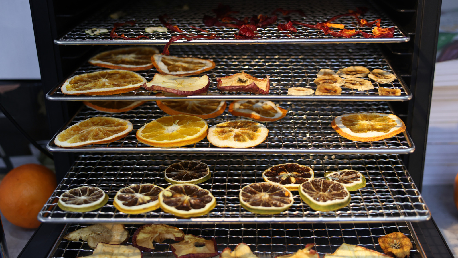 The Best Food Dehydrators On The Market, According To Reviews