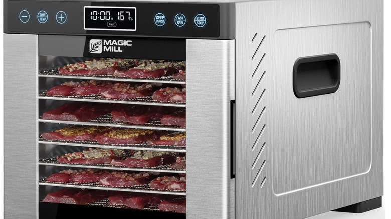 The Best Food Dehydrators On The Market, According To Reviews