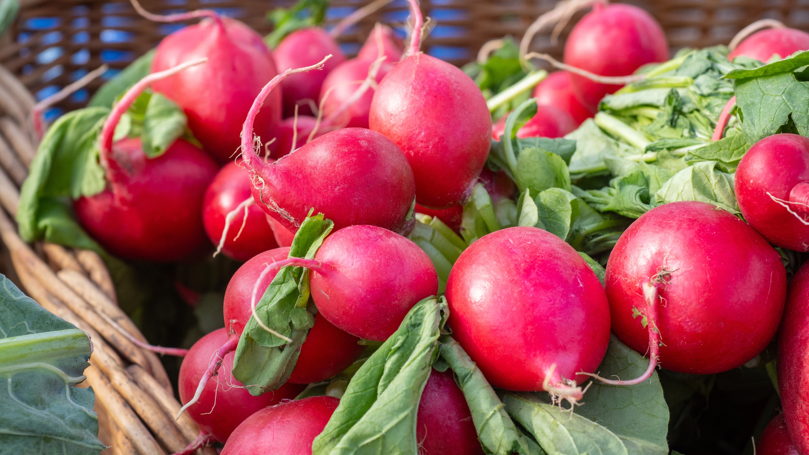 Are Radish Greens Edible?