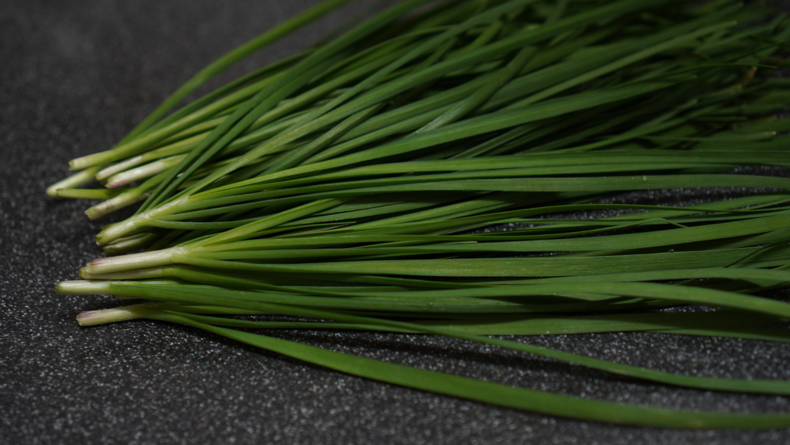 Do Chives Regrow When You Cut Them?