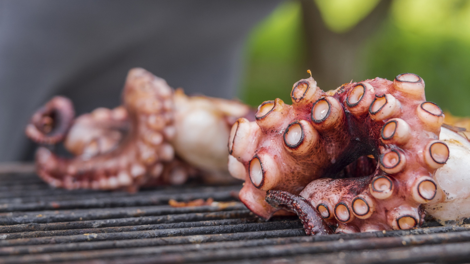 Why You Need To Par-Cook Octopus Before Grilling