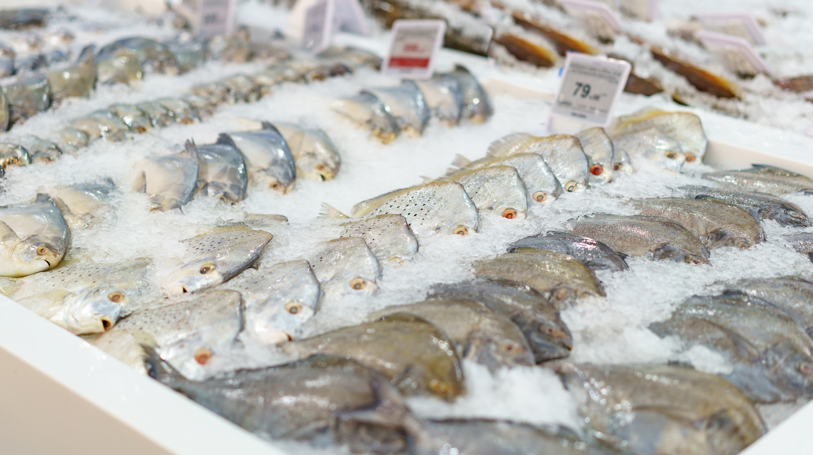 How To Pick The Freshest Fish From The Grocery Store