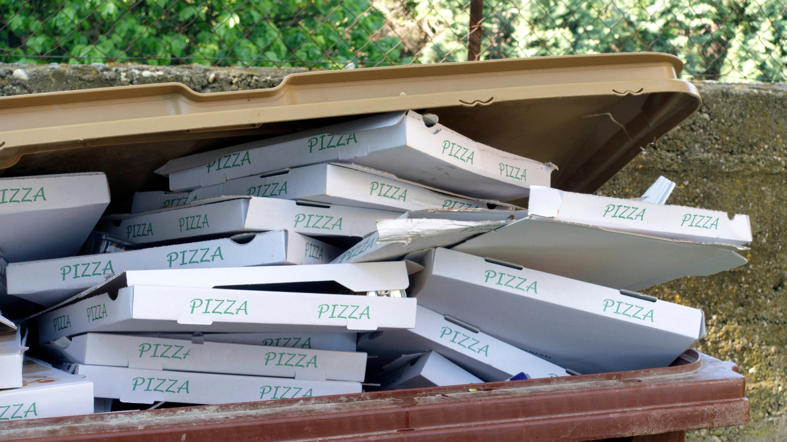 Here's Exactly How You Should Recycle Your Pizza Boxes (Even The Greasy ...