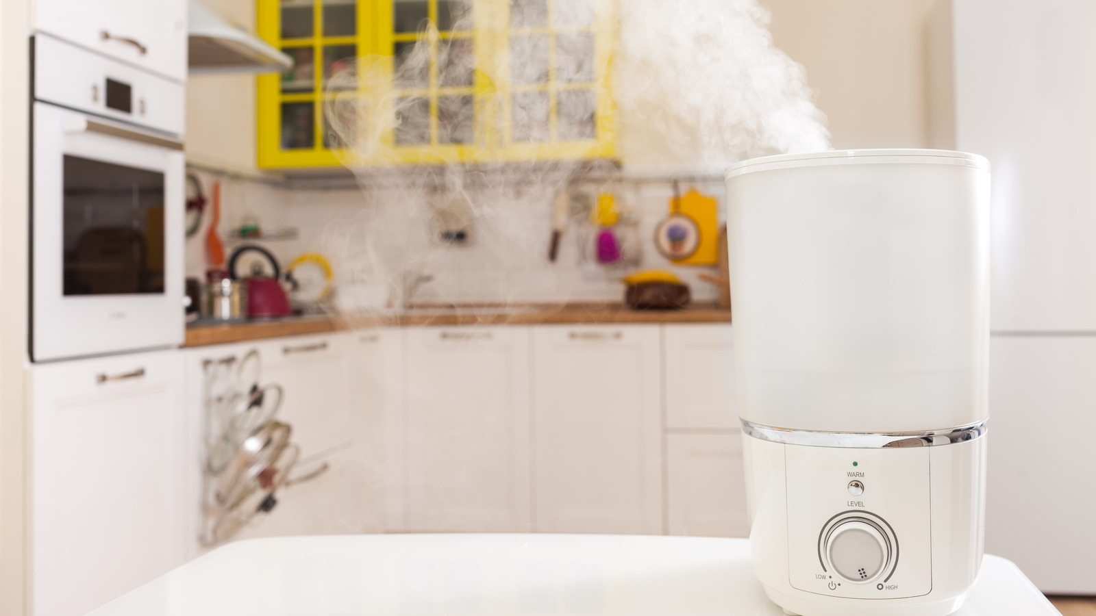 Why Chefs Use Humidifiers While Making Fresh Pasta