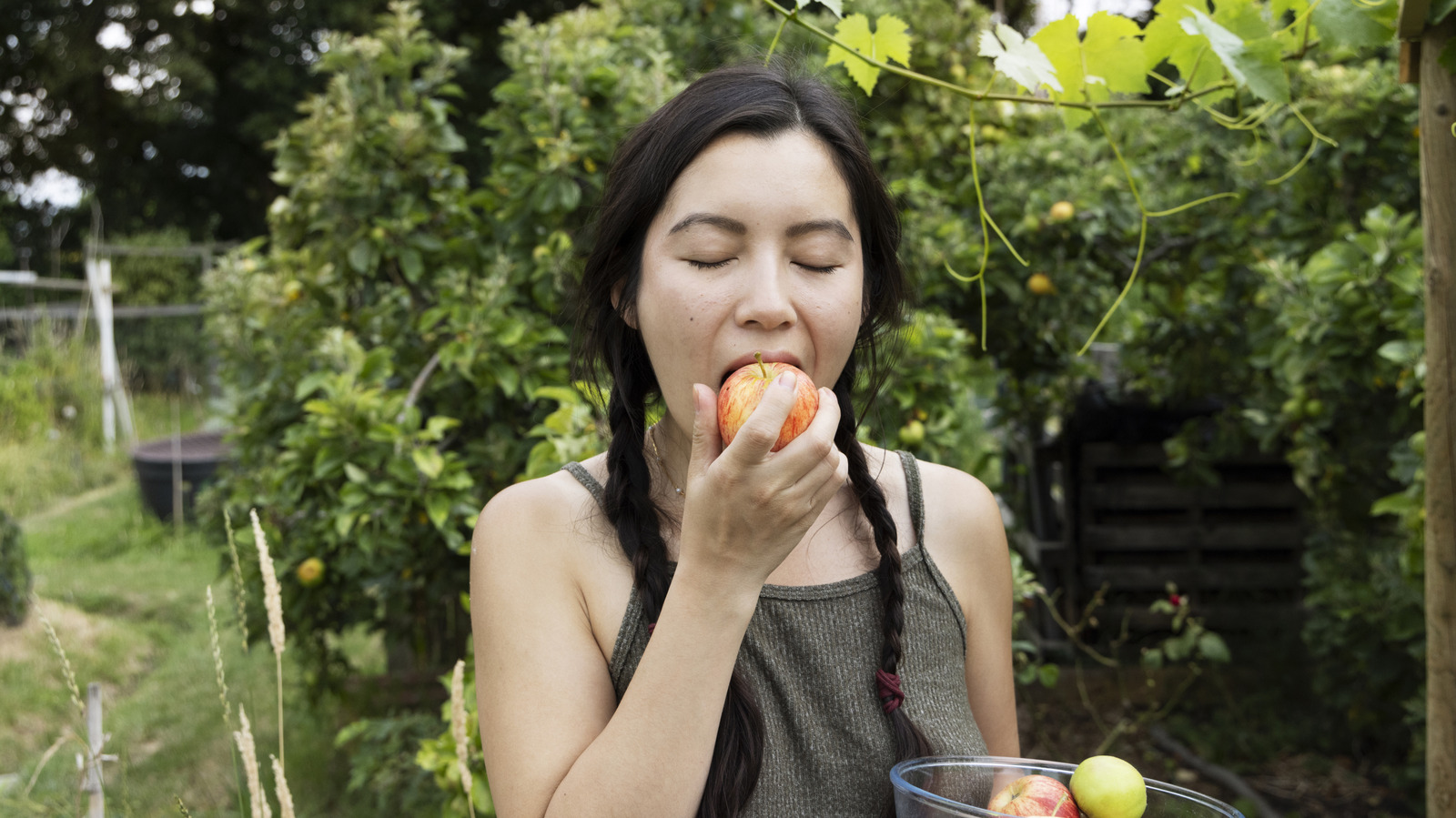 How Ripeness Affects An Apple's Taste, Texture, And Juiciness