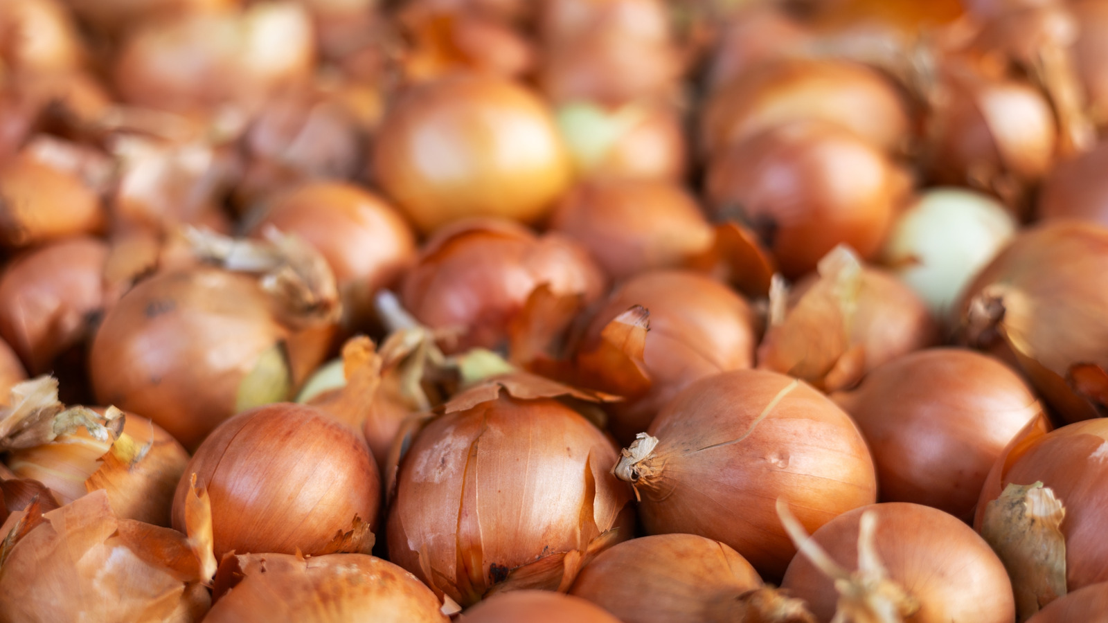 How These 12 Types Of Onions Differ