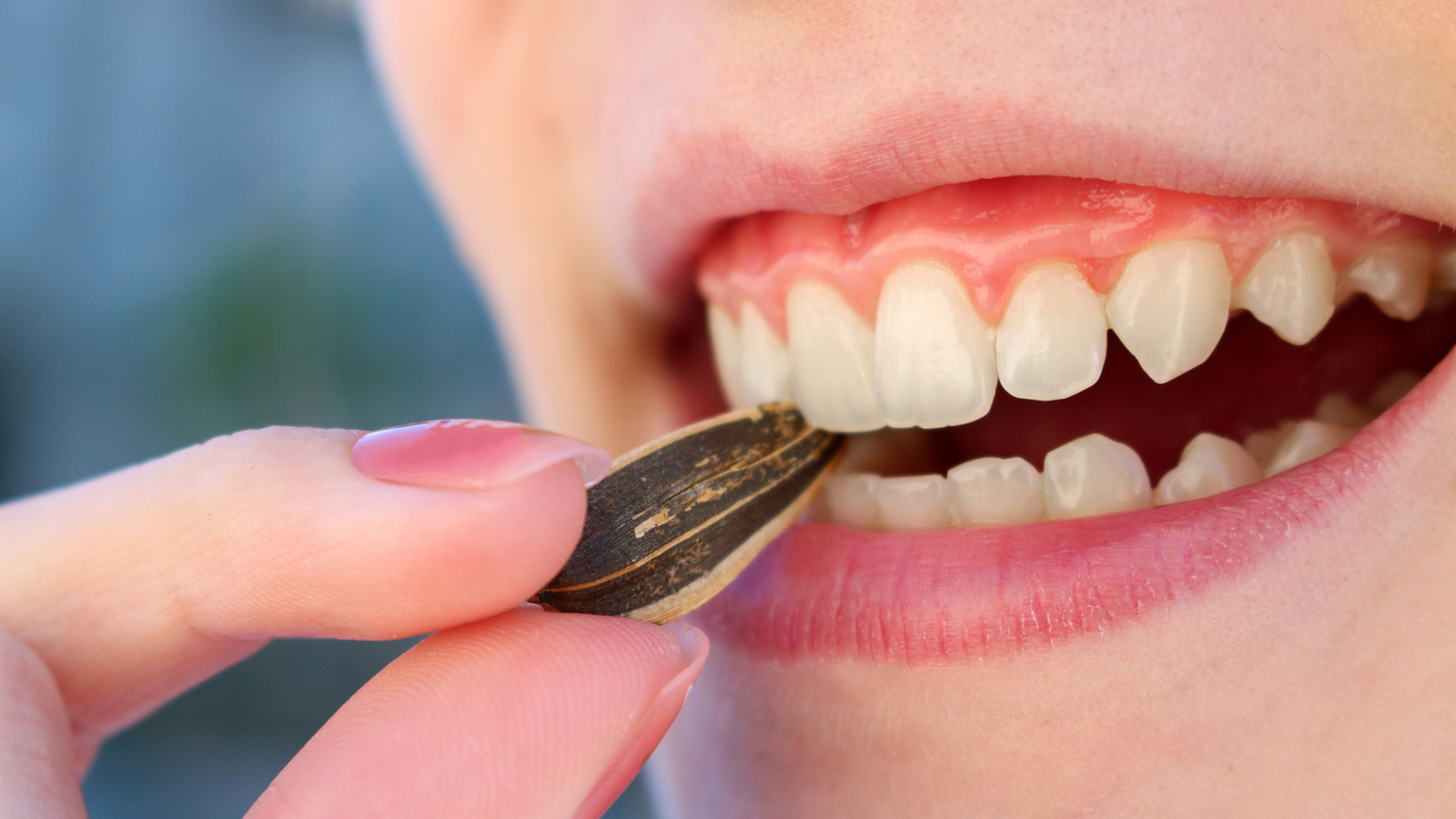 How To Eat Sunflower Seeds (Without Ruining Your Teeth)