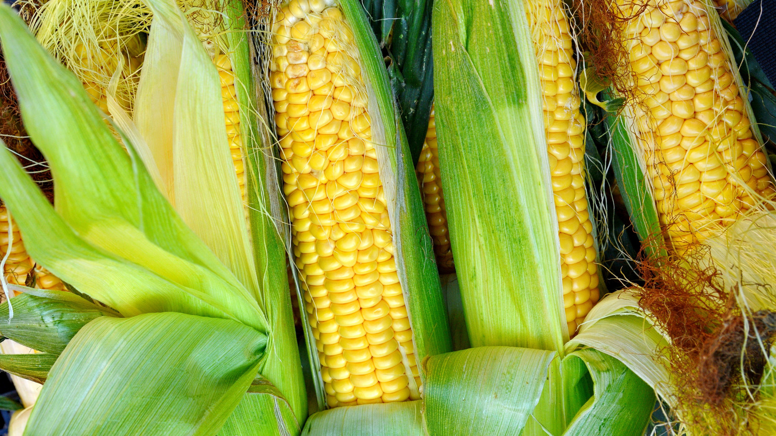 How To Freeze Corn On The Cob And Keep It Freezer Burn-Free