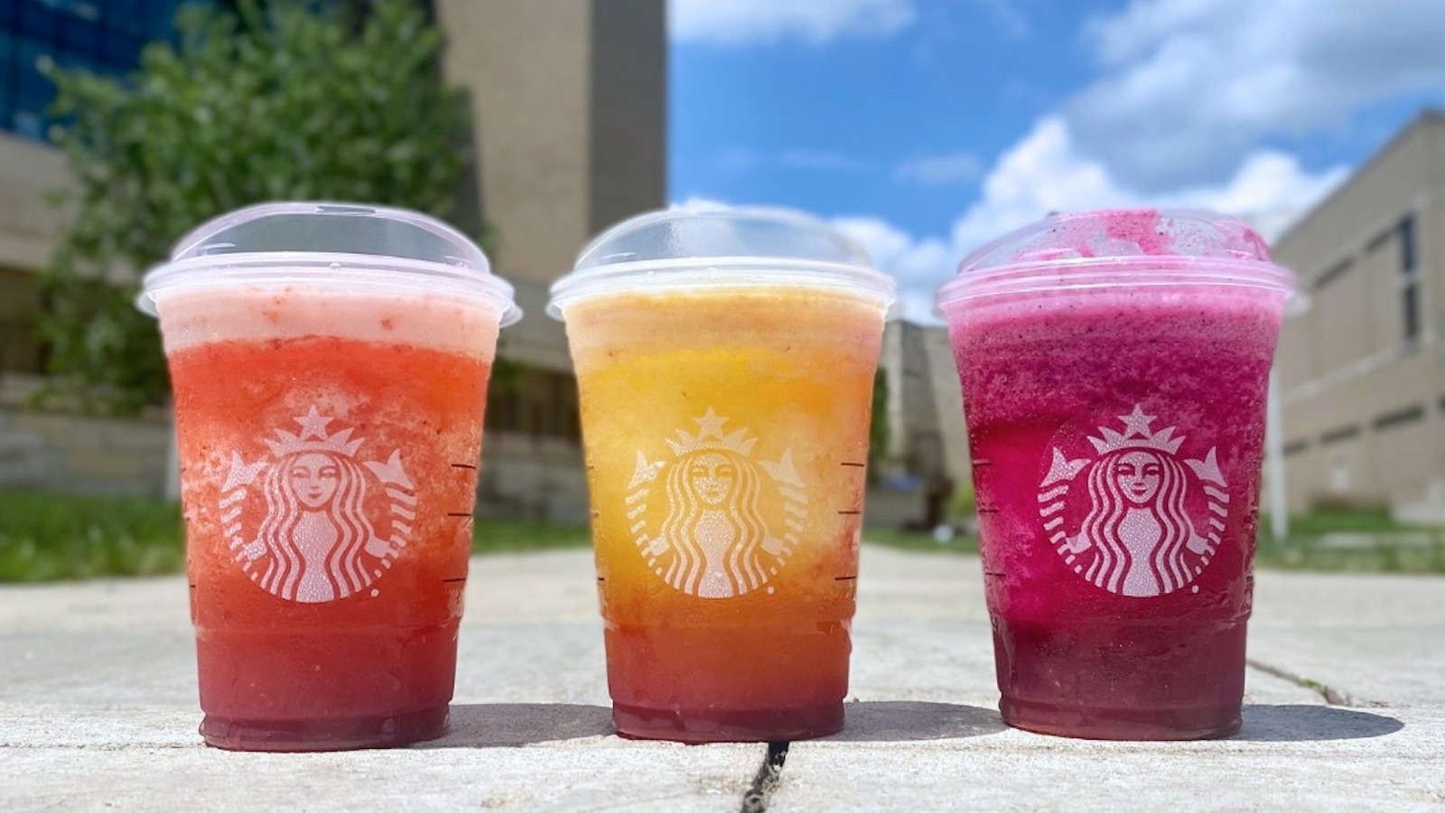 How To Order A Frozen Lemonade At Starbucks