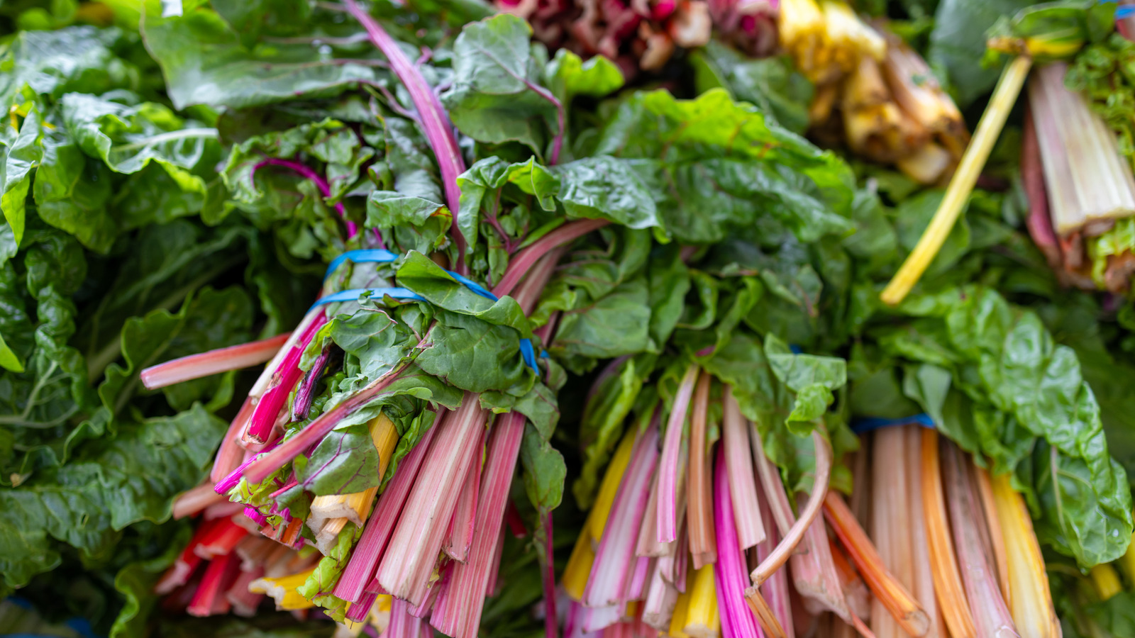 How To Remove The Bitter Taste From Swiss Chard