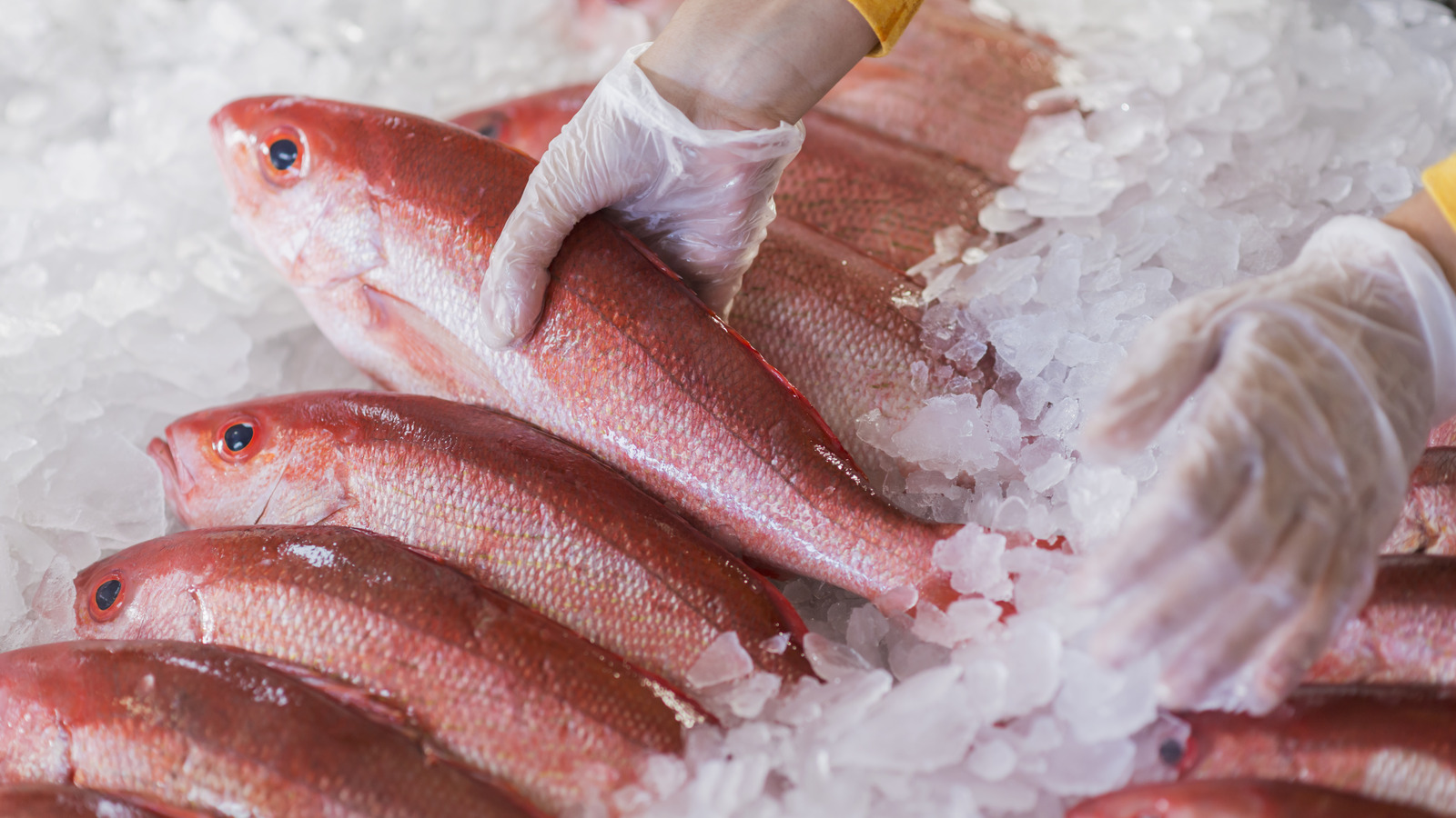 How To Store Fresh Fish In The Fridge