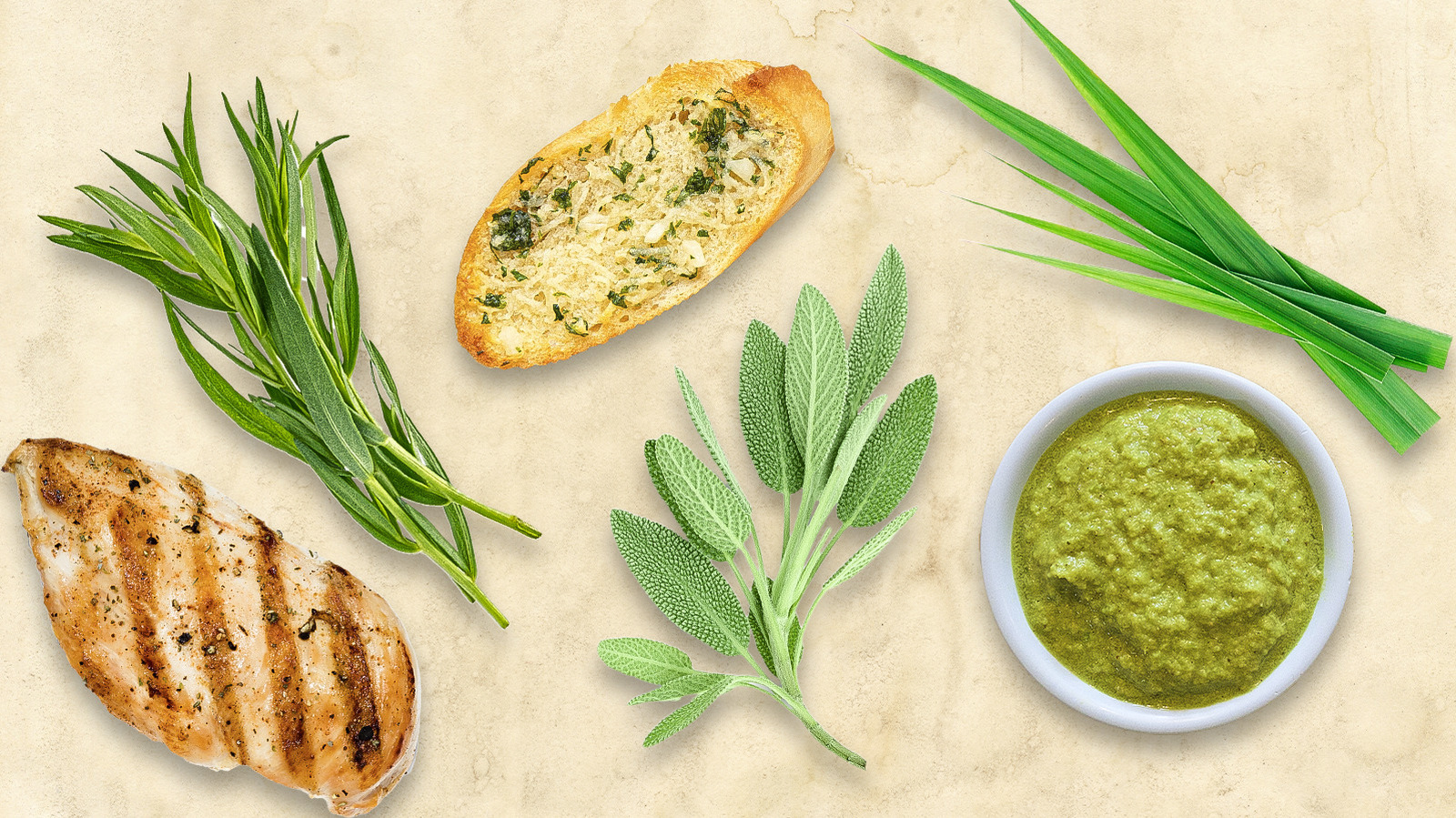 How To Use 14 Popular Herbs To Their Full Potential