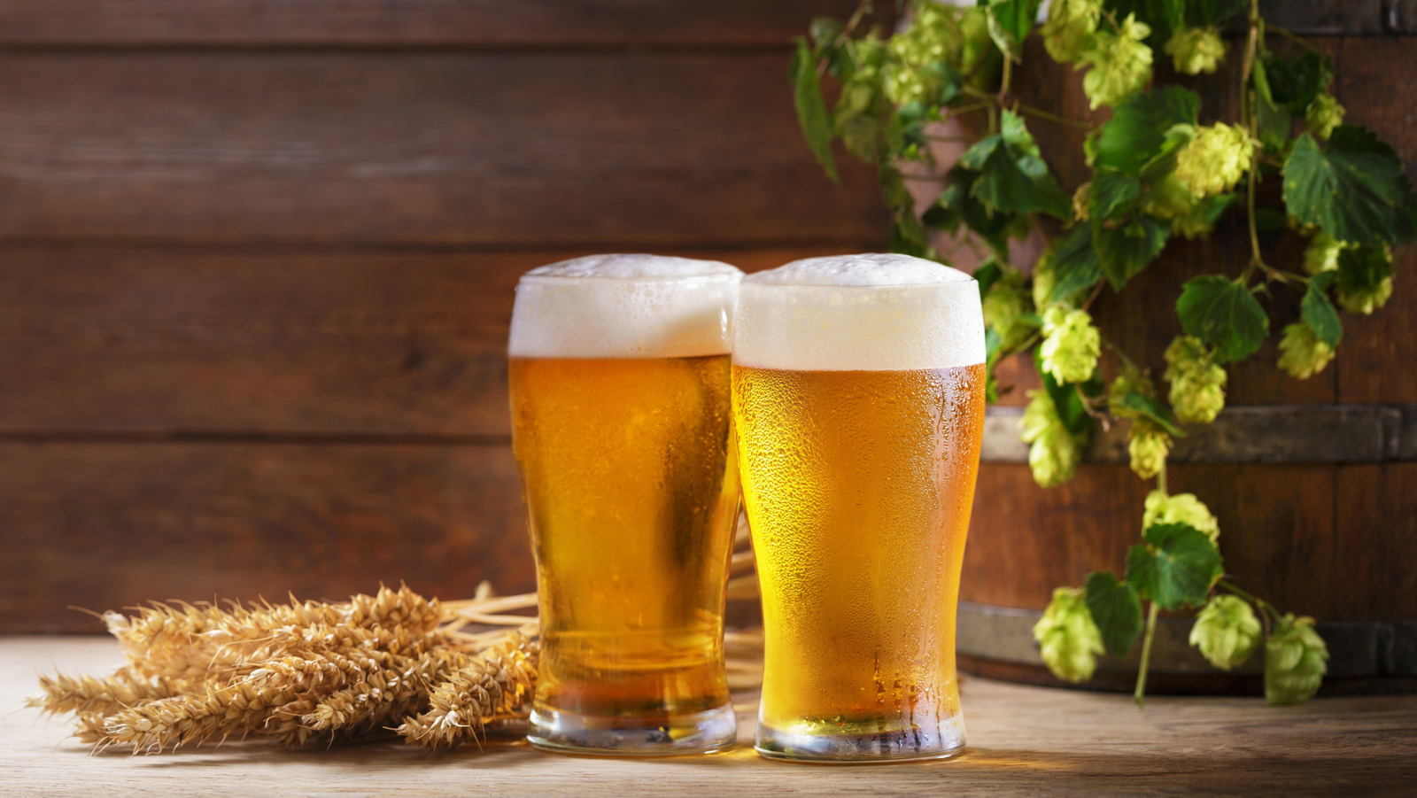 What's The Difference Between IPAs And Pale Ale Beer?