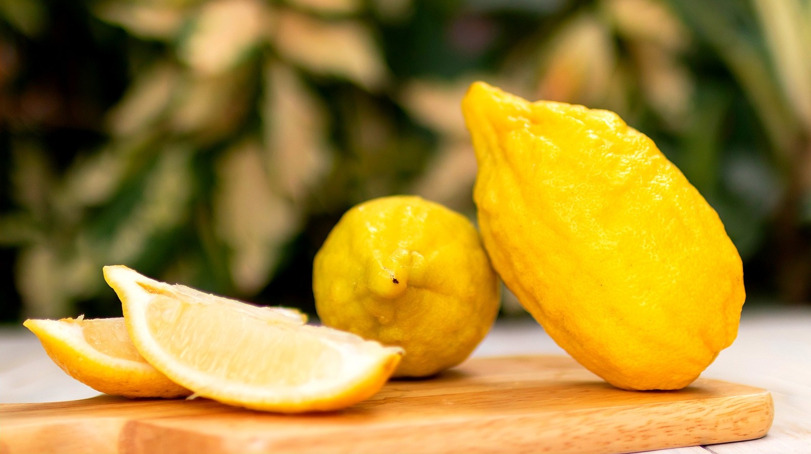 Is An Etrog The Same As A Lemon, And What's Its Significance During Sukkot?