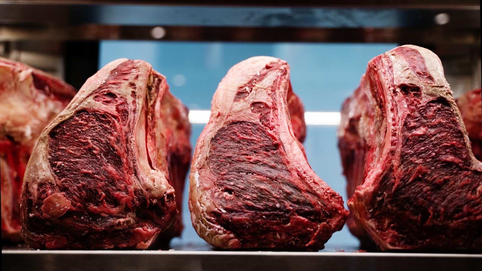 Meet The Japanese Mold That Some Chefs Use To Age Steaks