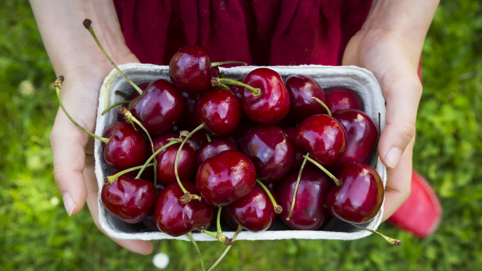 Never Remove The Stems From Fresh Cherries. Here's Why