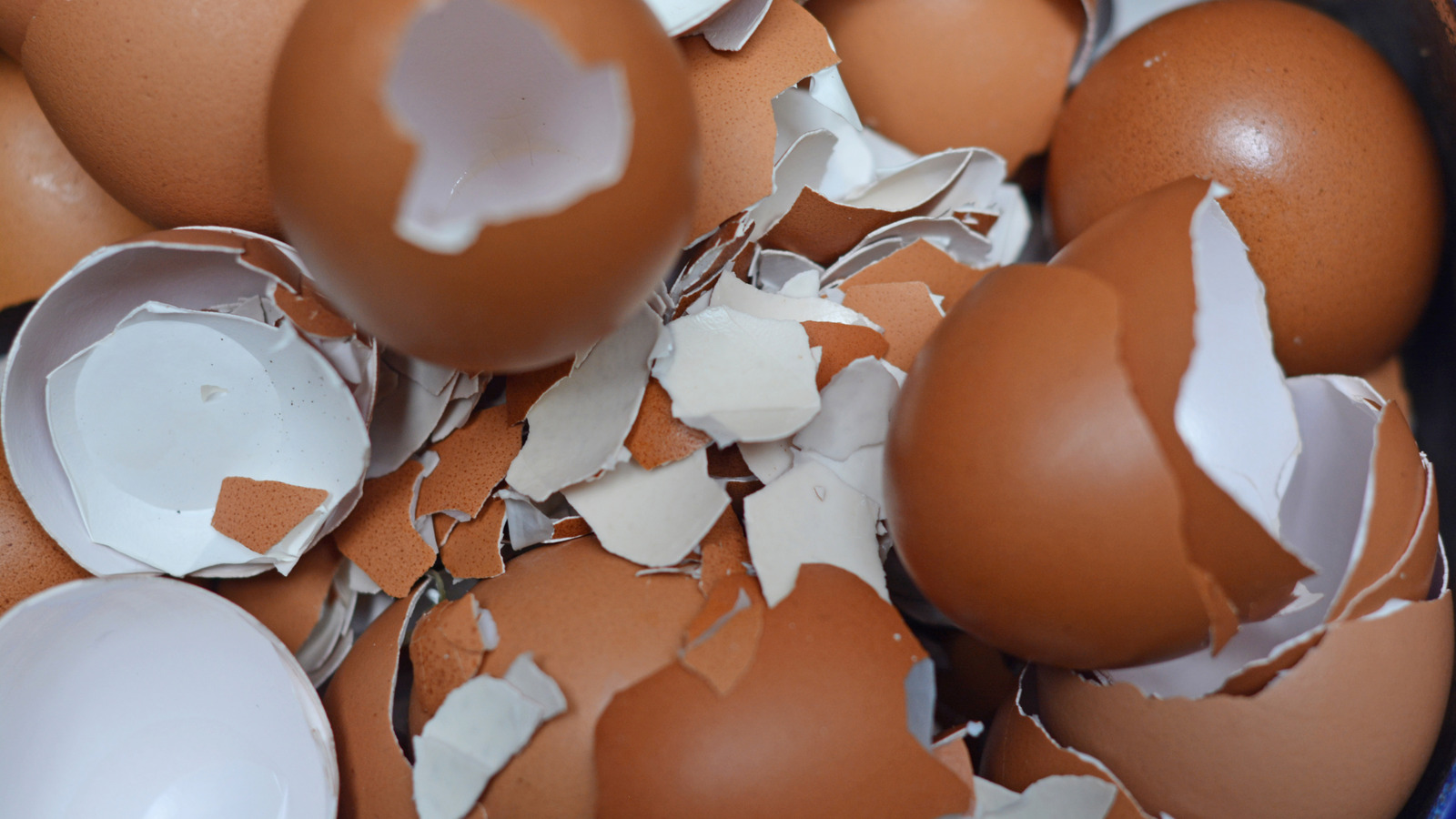 Remove Broken Shells From Cracked Eggs Quickly With This Water Hack