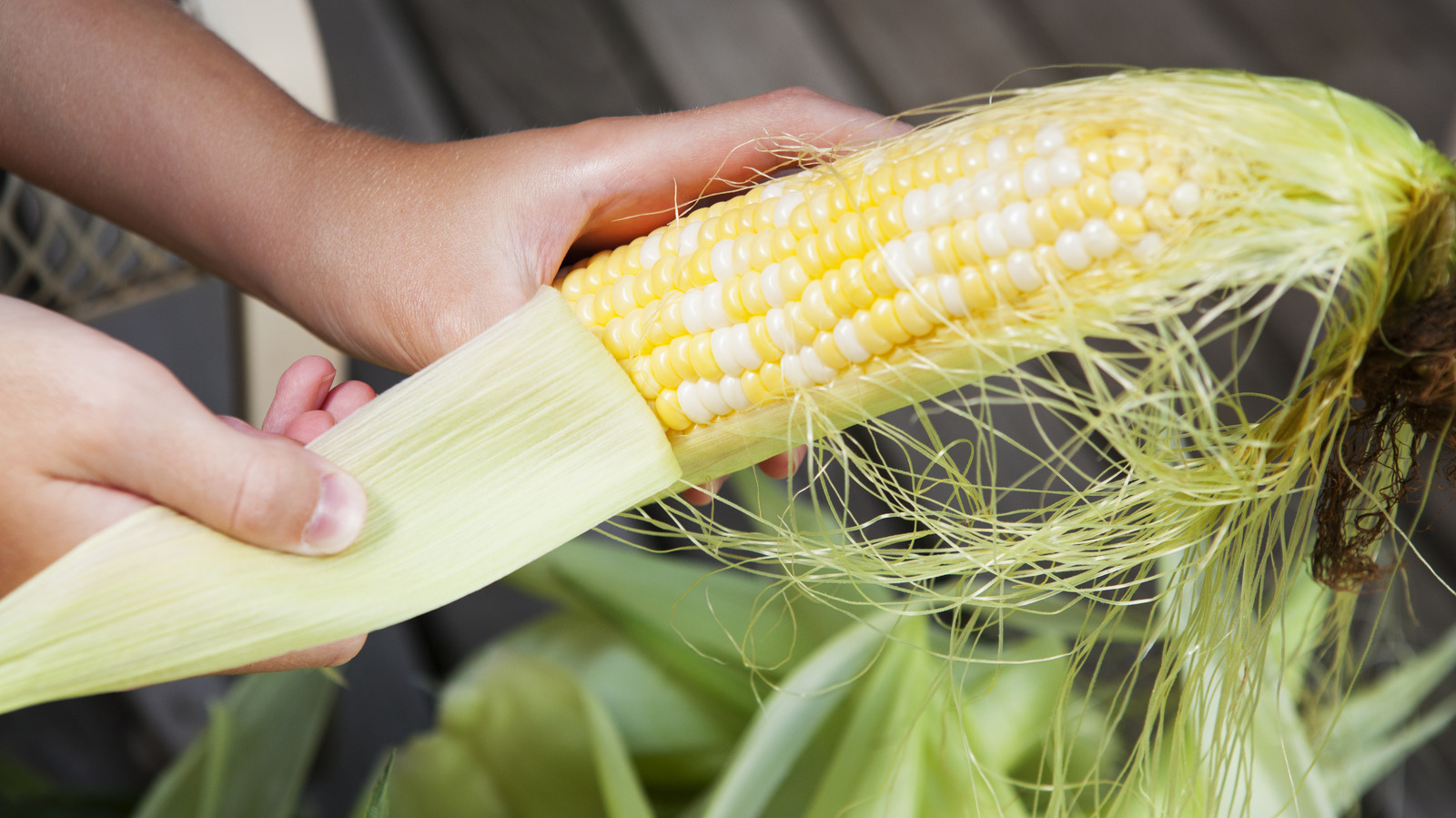 Removing Corn Silk Is Easier With Your Trusty Potato Brush