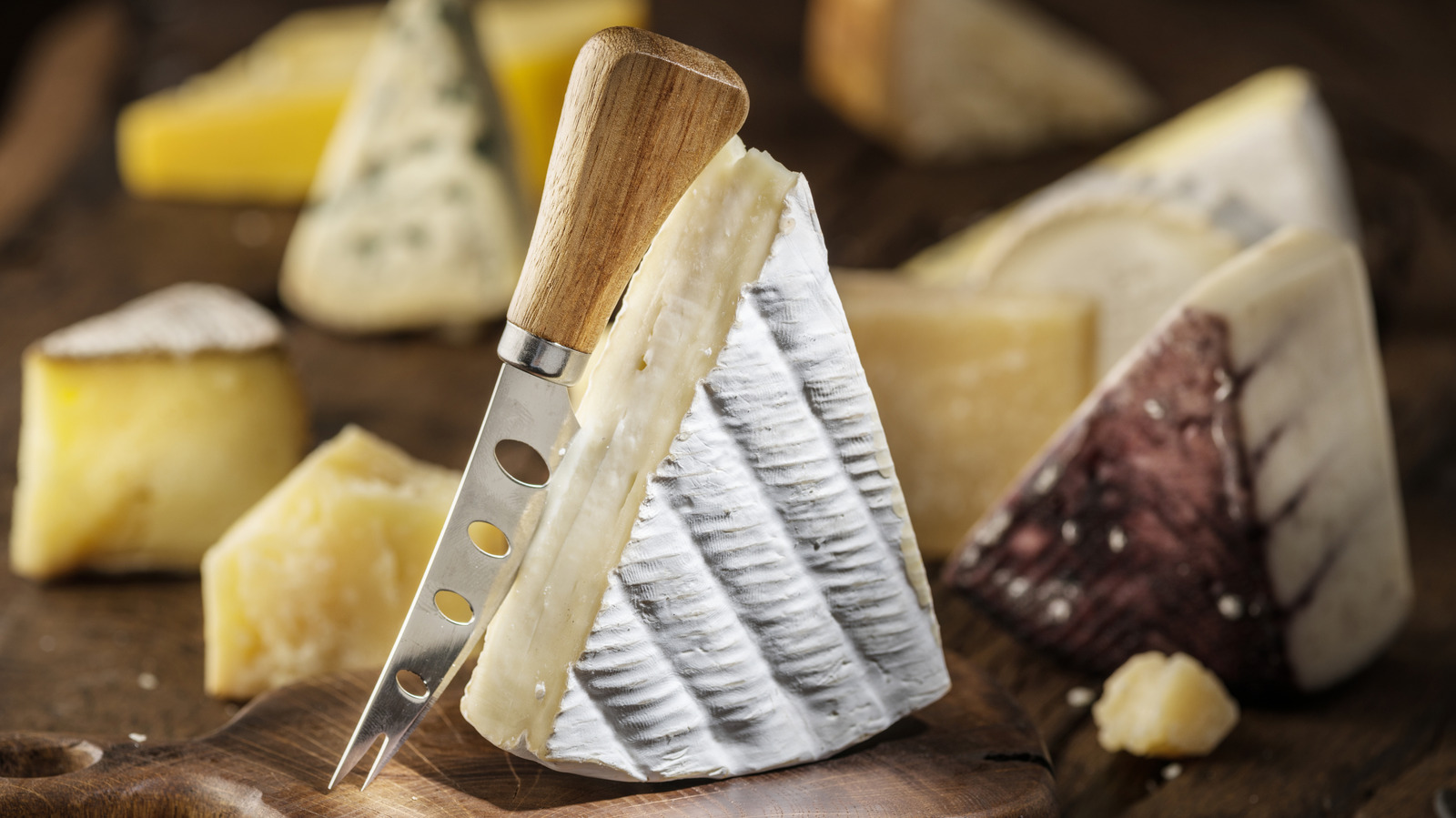 21 Stinky Cheeses You Should Try At Least Once