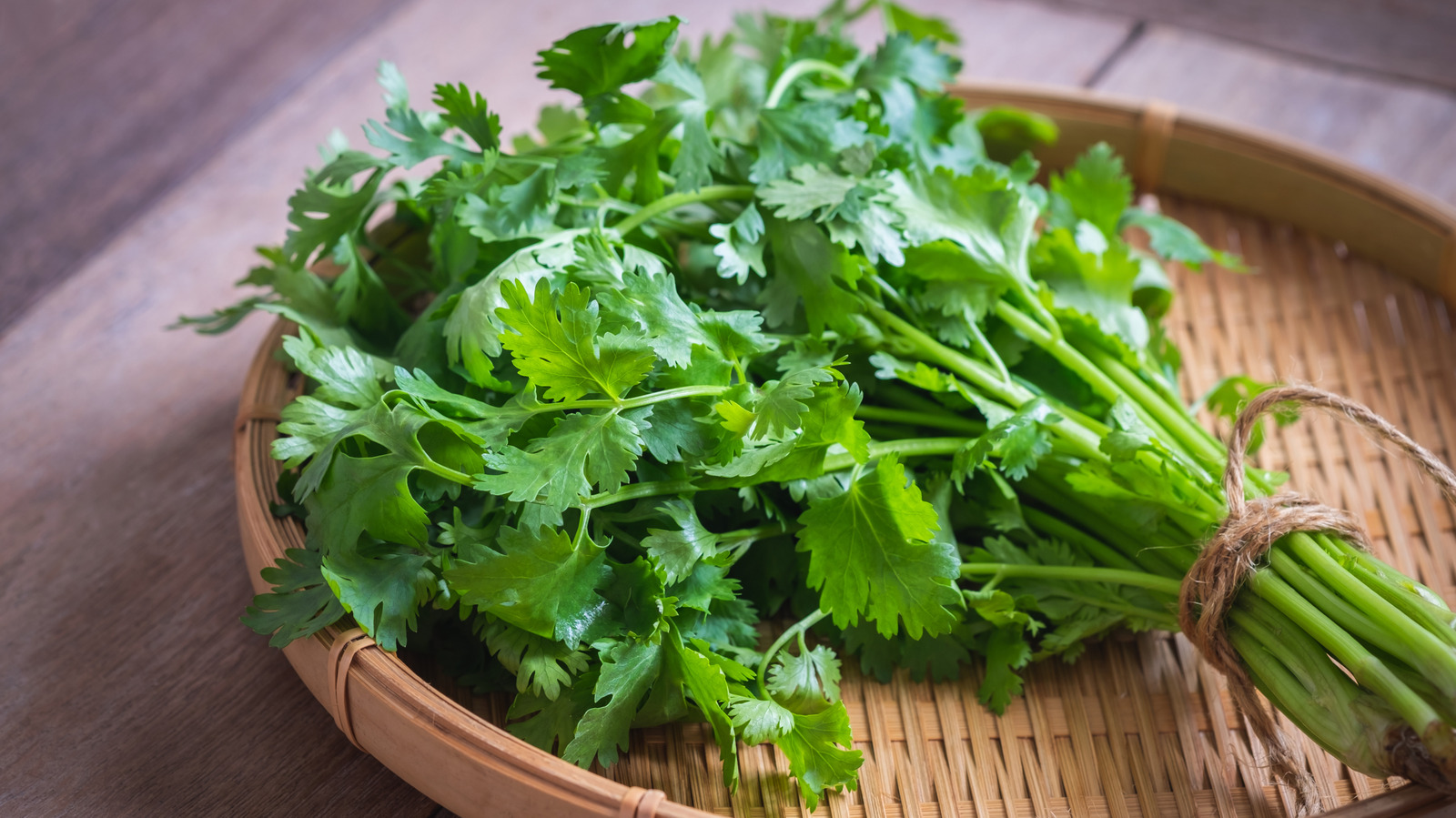 The 18 Best Ingredients To Substitute For Coriander