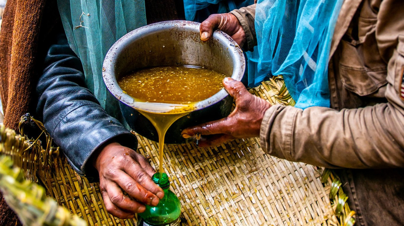 The Banned Honey That Can Cause Hallucinations