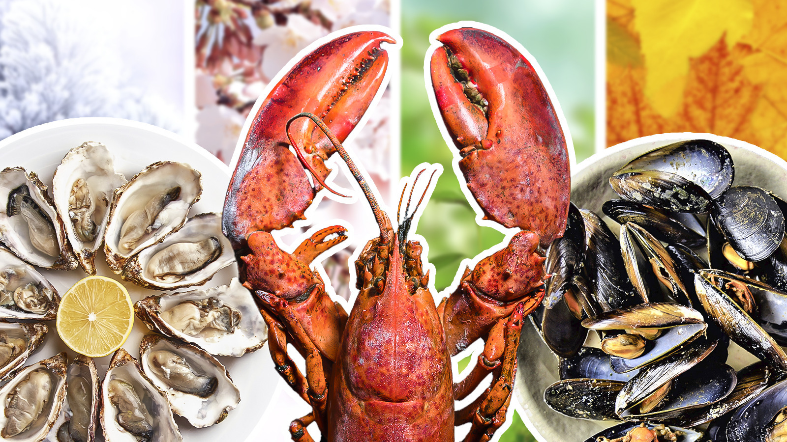 Shellfish Seasons: The Best Time To Buy Shrimp, Lobster And More