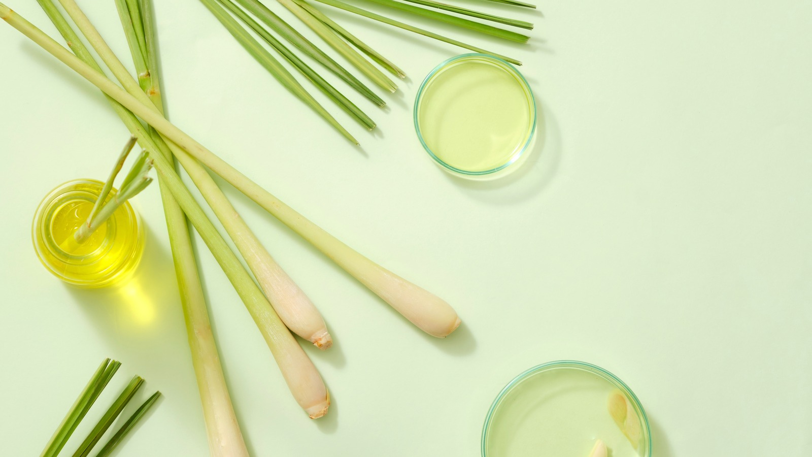 The Complete Guide To Cooking With Lemongrass