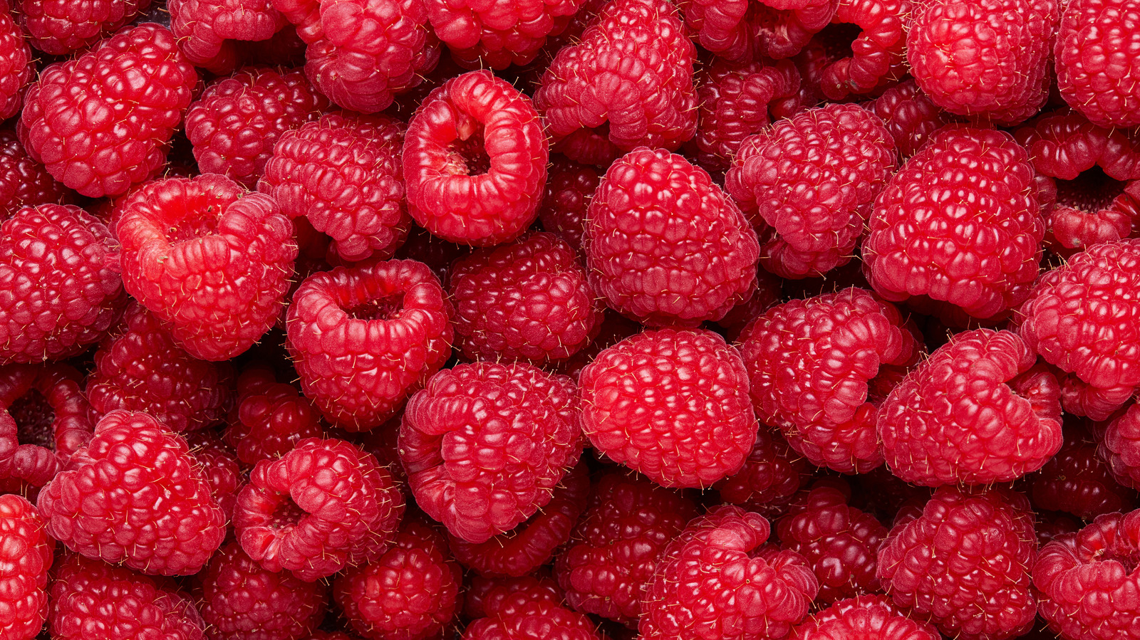 What Country Produces The Most Raspberries?