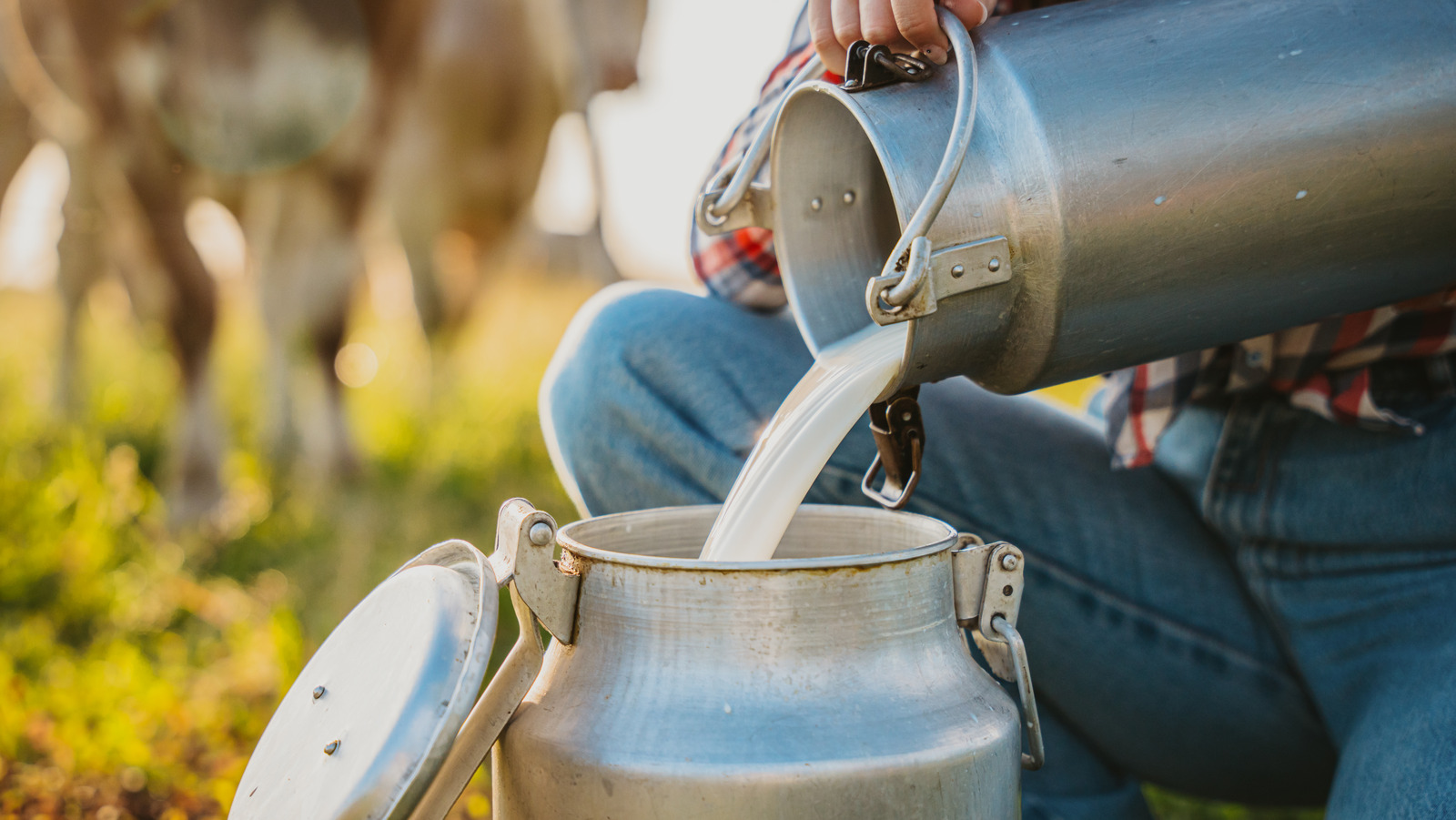 The Dangers Of Raw Milk You Won't Hear About On TikTok The Dangers Of Raw Milk You Won't Hear About On TikTok