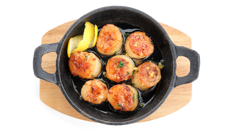 The Differences Between 8 Types Of Scallops, Explained