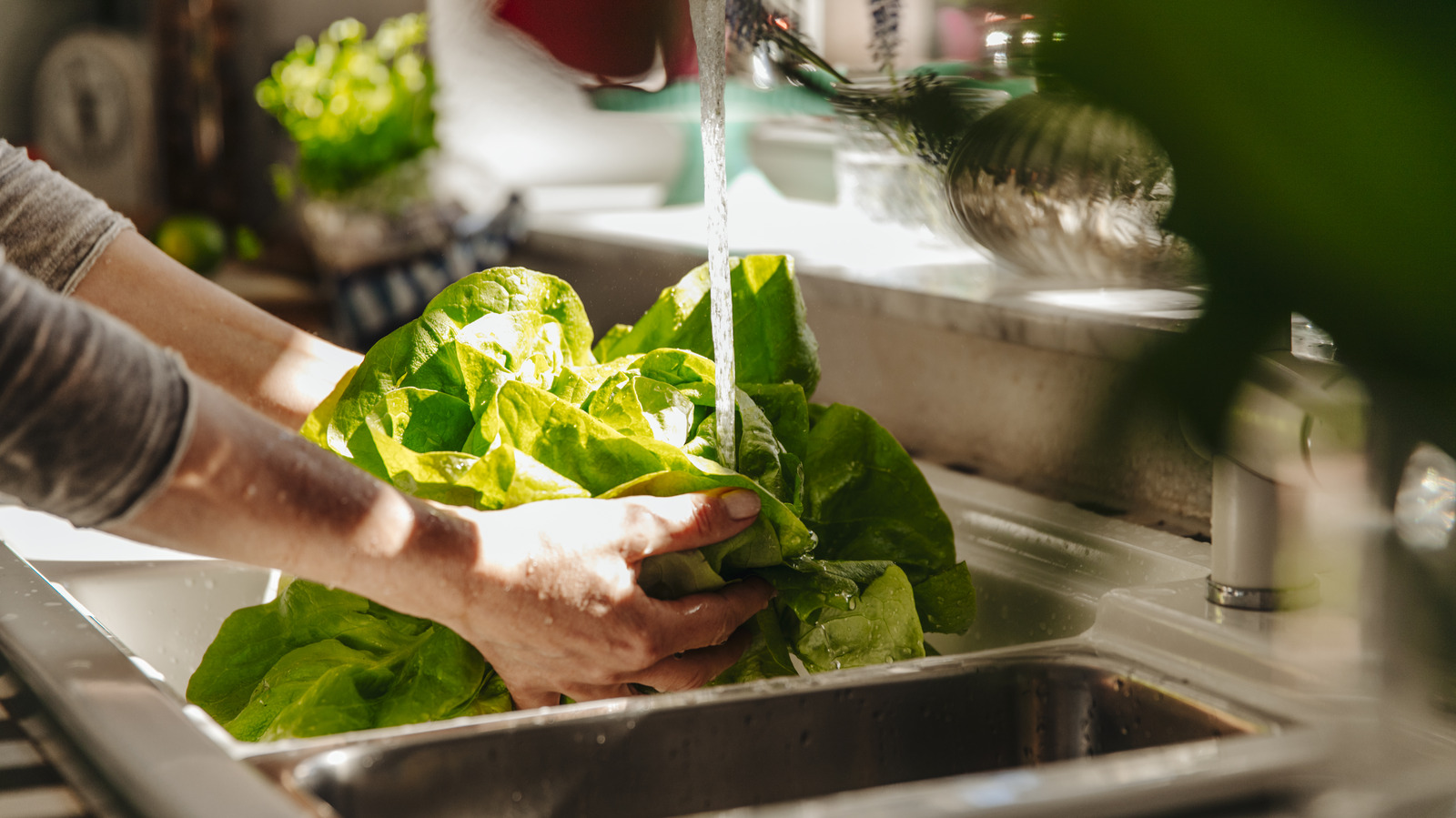 When Should You Be Washing Fresh Greens?