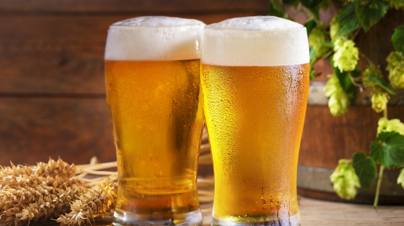 The Ingredient In IPA Beer That May Make You Sleepy