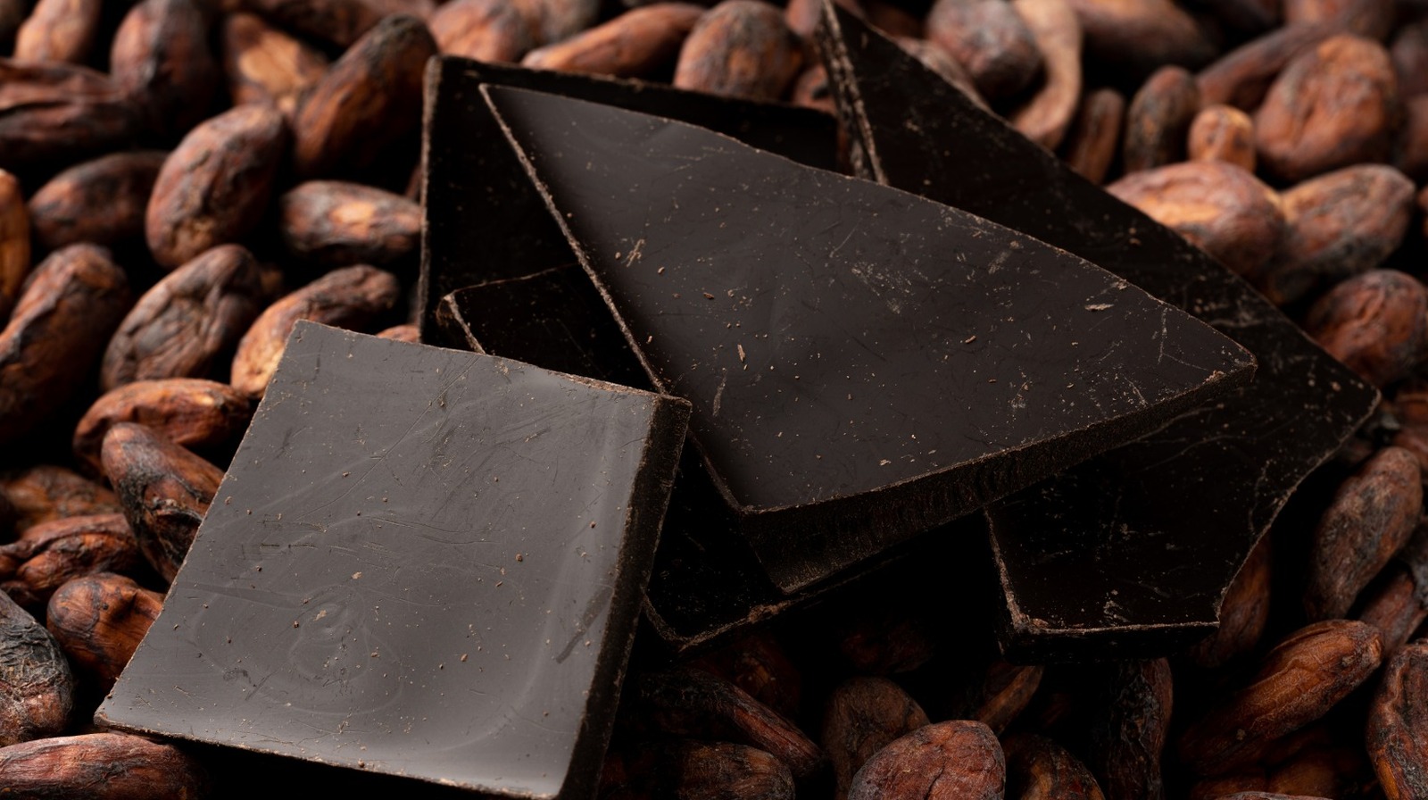Dark Chocolate Belongs In Japanese Curry