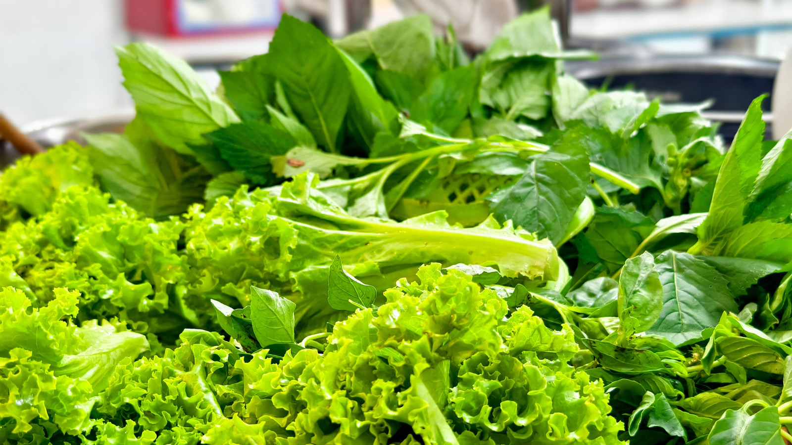 The Leafy Green Vegetable That Contains More Protein Than You Might Think
