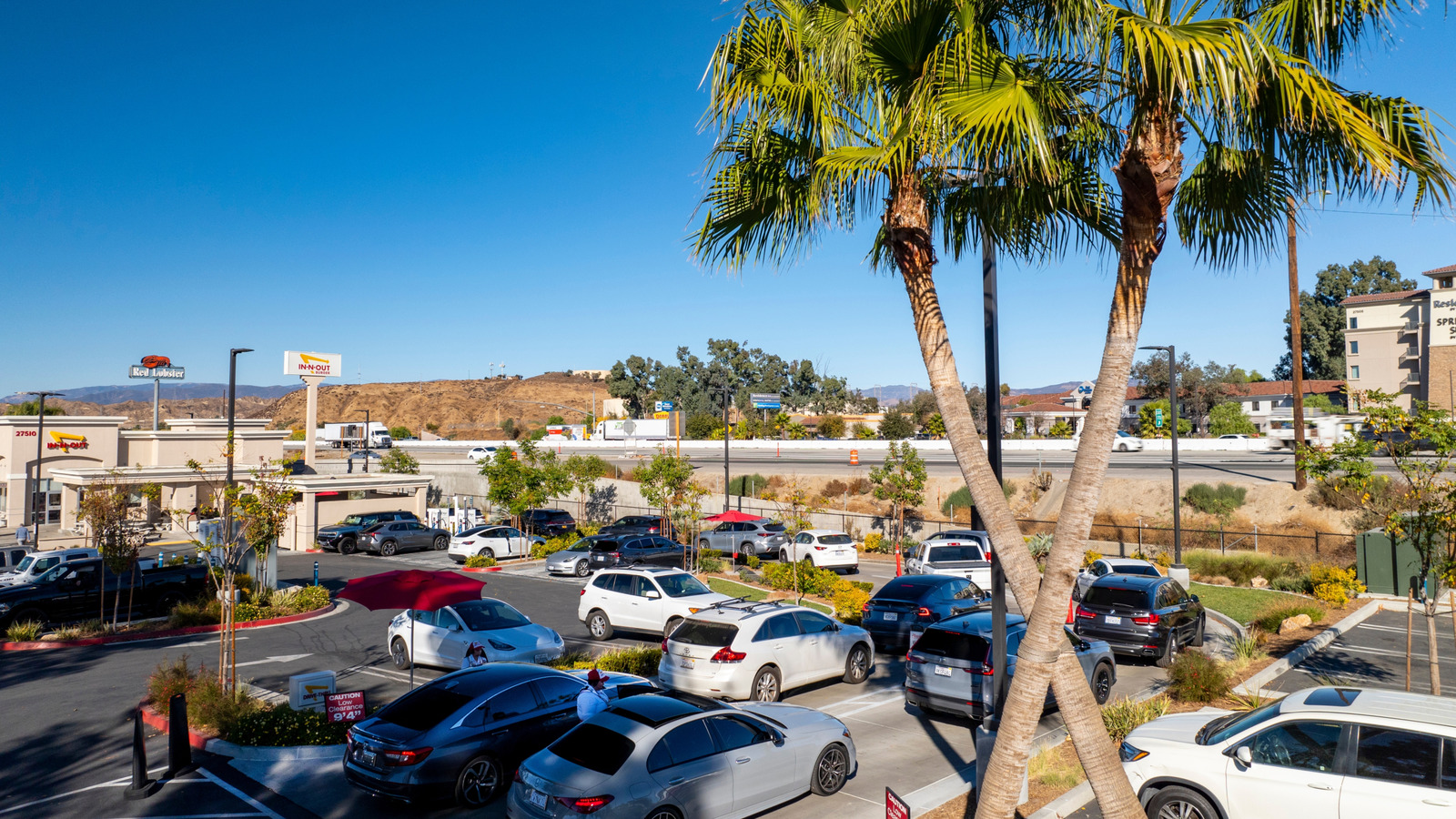 The Old School Secret Behind In-N-Out's Crossed Palm Trees