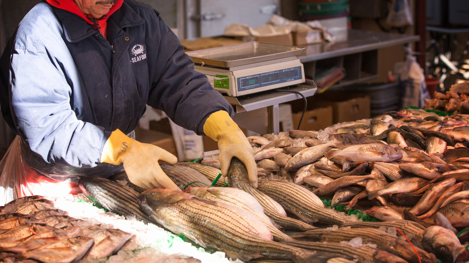 The Municipal Fish Market Is The Oldest One In America