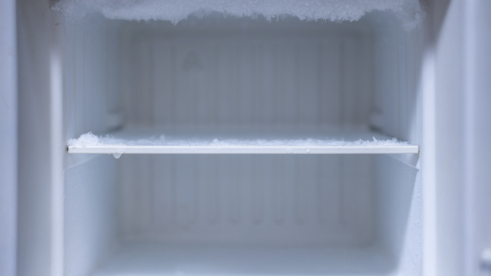 The Organization Tool That's Actually Built Into Your Freezer (And We ...
