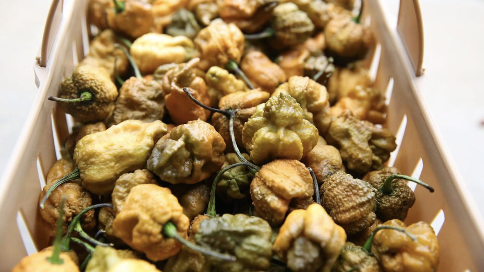 What's The Hottest Pepper In The World? Meet Pepper X